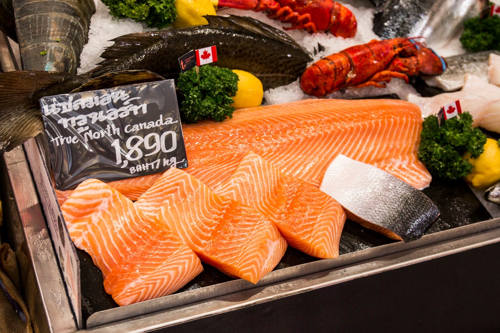 Taste of Canada – Thammachart Seafood