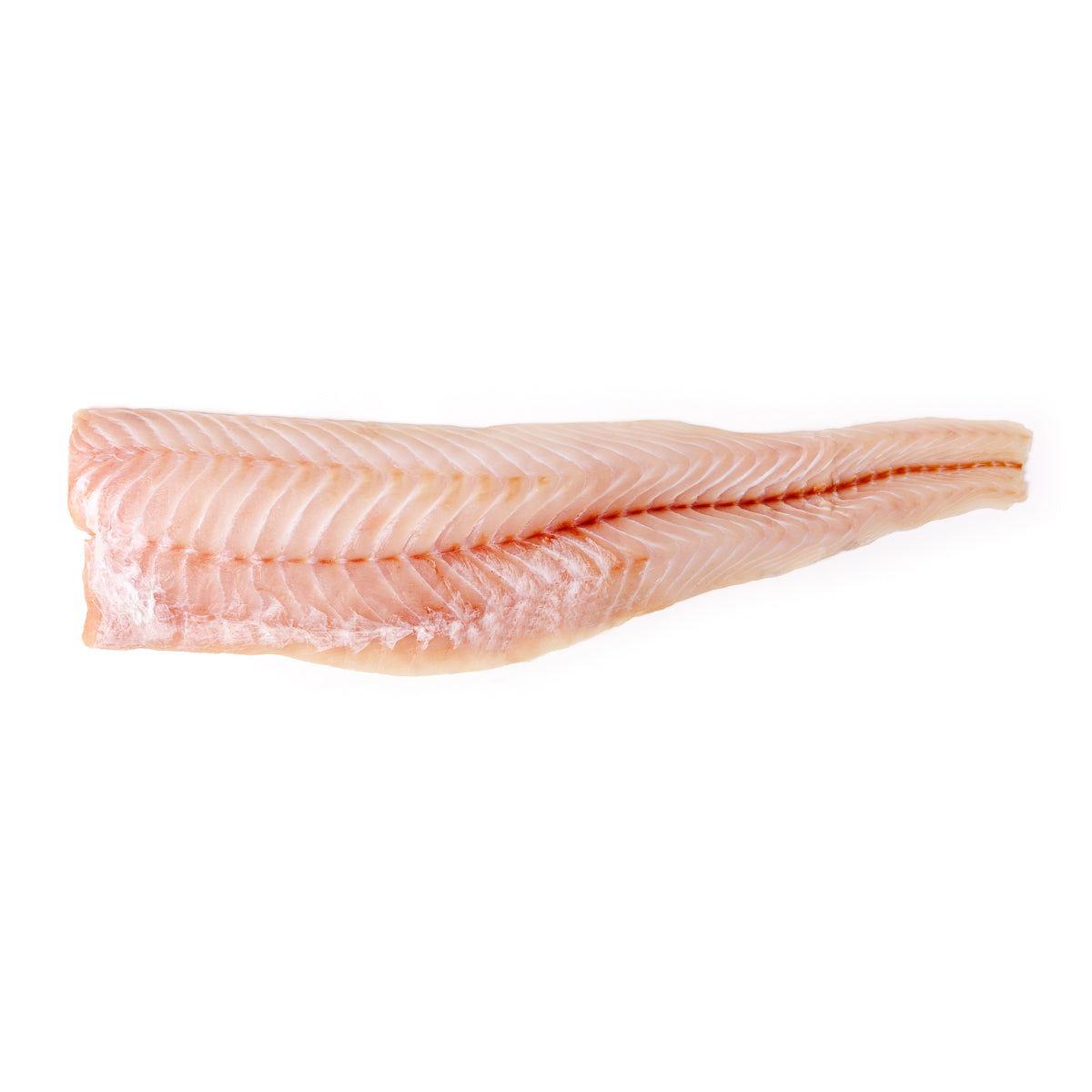 Frozen NZ Ling Fillet 2-2.2kg/pc – Thammachart Seafood