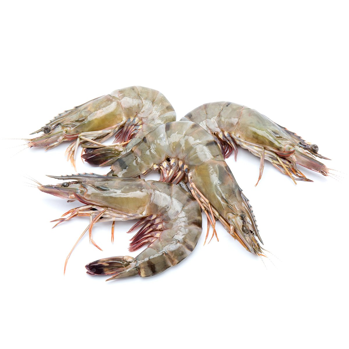 Raw Shrimp Wild Caught Raw Jumbo Gulf Shrimp (Peeled And Deveined)